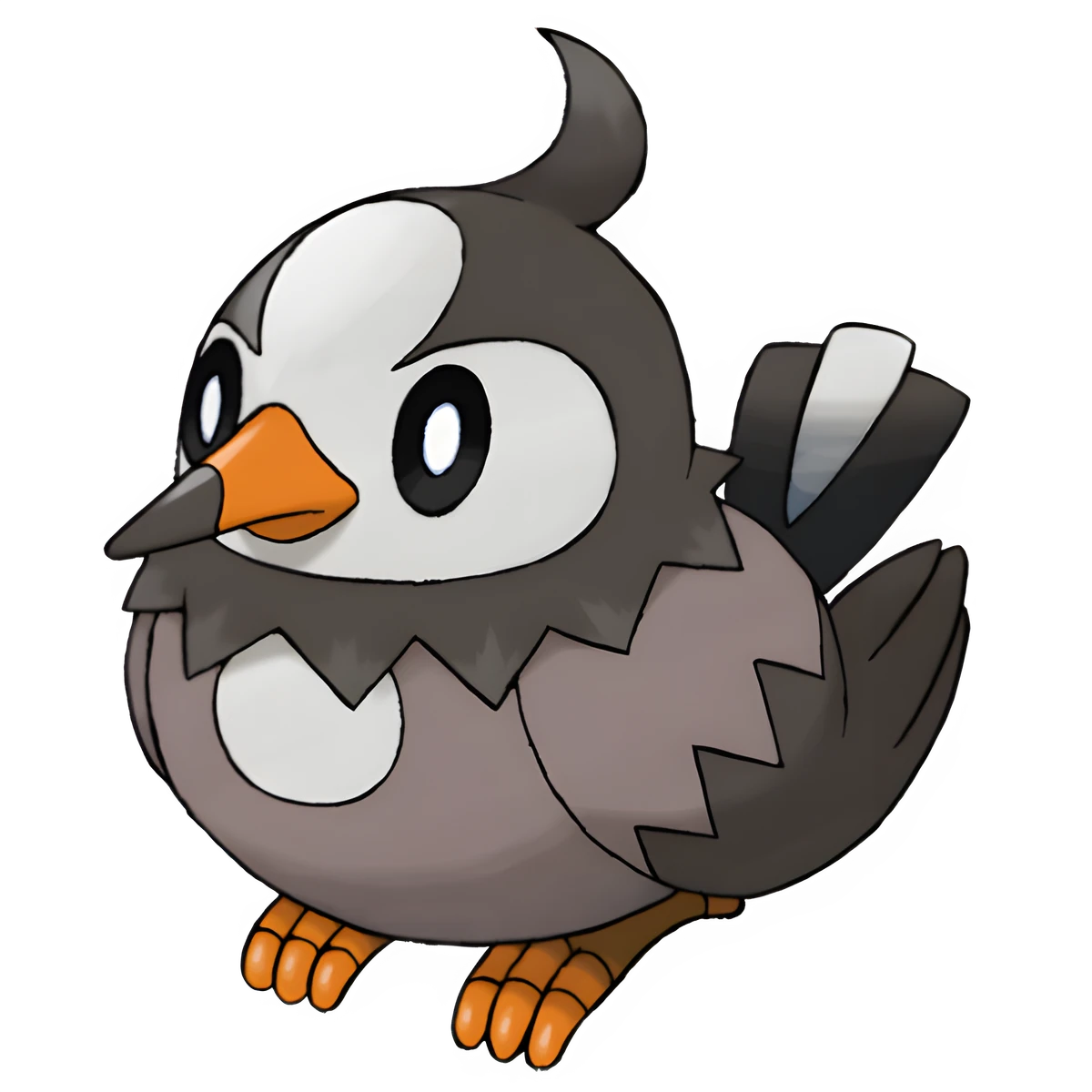 Starly | Pokémon Wiki | Fandom