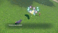 Stockpile | Pokémon Wiki | Fandom