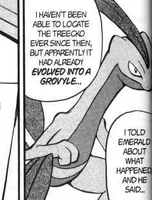 Grovyle (Mystery Dungeon) | Pokémon Wiki | Fandom