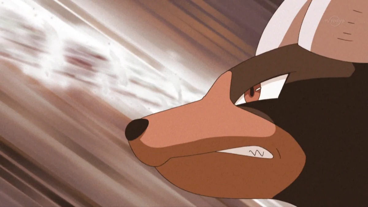 Ultra Rangers' Houndoom | Pokémon Wiki | Fandom