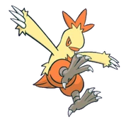 Combusken | Pokémon Wiki | Fandom