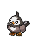 Starly | Pokémon Wiki | Fandom
