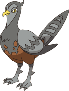 Unfezant | Pokémon Wiki | Fandom