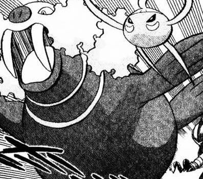 Archie's Walrein | Pokémon Wiki | Fandom