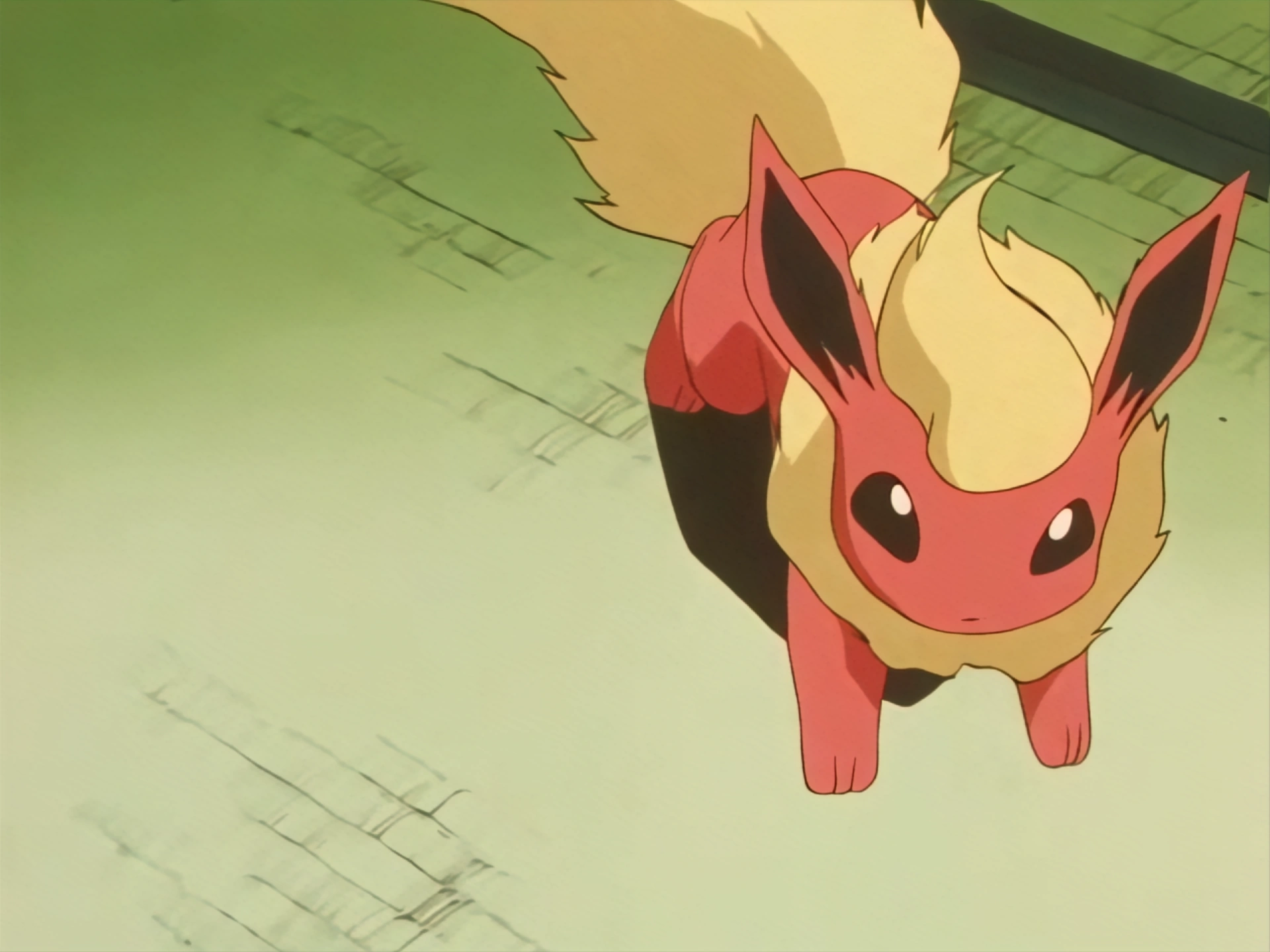 Koume's Flareon | Pokémon Wiki | Fandom