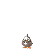 Starly | Pokémon Wiki | Fandom