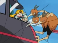 Drill Peck | Pokémon Wiki | Fandom