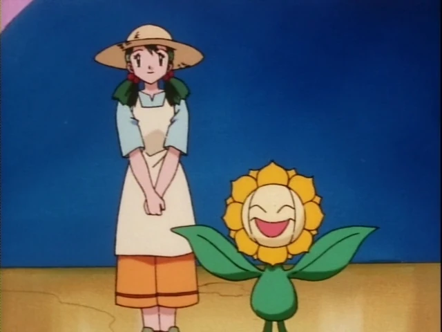 Sunny | Pokémon Wiki | Fandom