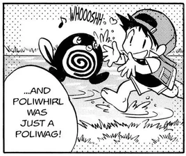 Poli | Pokémon Wiki | Fandom
