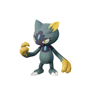 Sneasel | Pokémon Wiki | Fandom