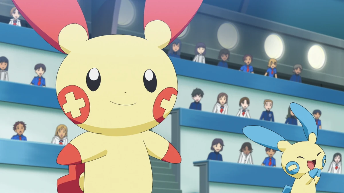 Lacey's Plusle | Pokémon Wiki | Fandom