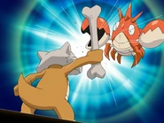Bone Club | Pokémon Wiki | Fandom