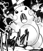 Volkner (Adventures) | Pokémon Wiki | Fandom