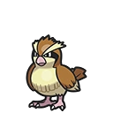 Pidgey | Pokémon Wiki | Fandom
