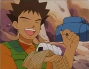 Rice ball | Pokémon Wiki | Fandom