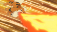Flamethrower | Pokémon Wiki | Fandom