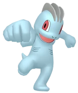 Machop | Pokémon Wiki | Fandom