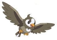 Starly | Pokémon Wiki | Fandom
