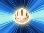 Take Down | Pokémon Wiki | Fandom