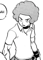 Flint (Adventures) | Pokémon Wiki | Fandom