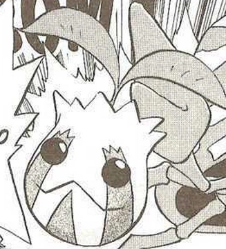 Sunbo | Pokémon Wiki | Fandom