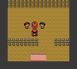 Route 39 | Pokémon Wiki | Fandom