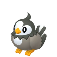 Starly | Pokémon Wiki | Fandom