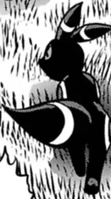 Penny's Umbreon | Pokémon Wiki | Fandom