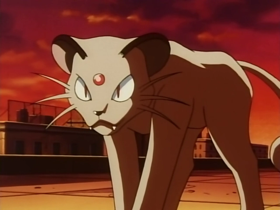 Persian (TB072) | Pokémon Wiki | Fandom