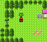 Route 30 | Pokémon Wiki | Fandom