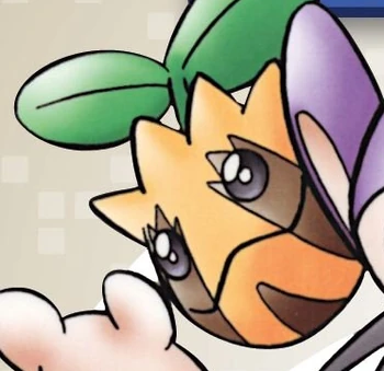 Sunbo | Pokémon Wiki | Fandom