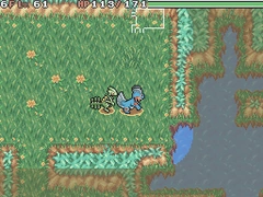 Hidden Land | Pokémon Wiki | Fandom