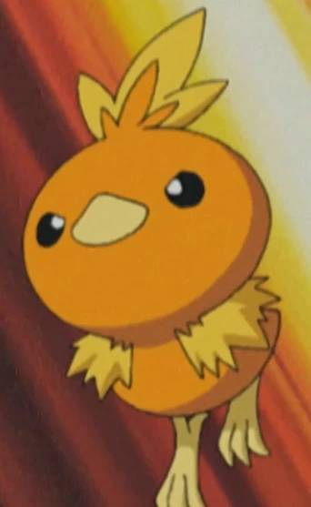 Torchic (RS071) | Pokémon Wiki | Fandom