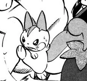 Platinum's Pachirisu | Pokémon Wiki | Fandom