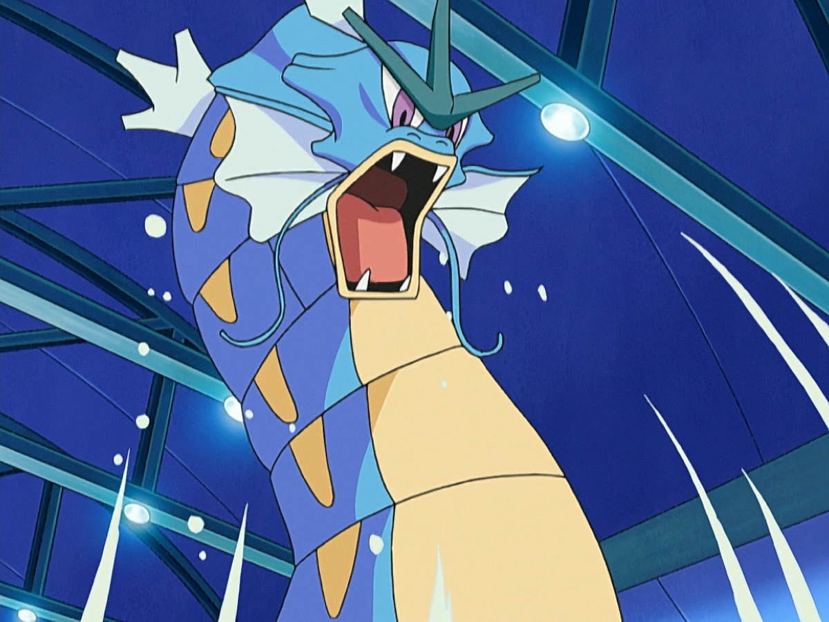 Crasher Wake's Gyarados (anime) | Pokémon Wiki | Fandom Crasher Wake's Gyarados (anime) | Pokémon Wiki | Fandom