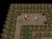 Mistralton Cave | Pokémon Wiki | Fandom