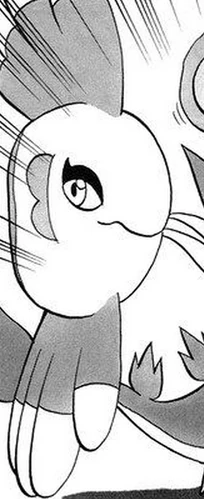 Nancy (Pokémon) | Pokémon Wiki | Fandom