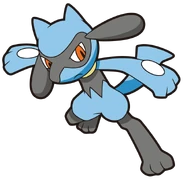 Riolu | Pokémon Wiki | Fandom