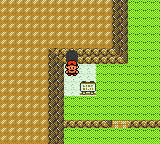 Route 4 (Kanto) | Pokémon Wiki | Fandom