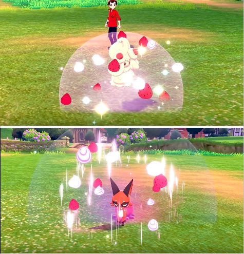 Decorate | Pokémon Wiki | Fandom