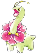 Meganium | Pokémon Wiki | Fandom