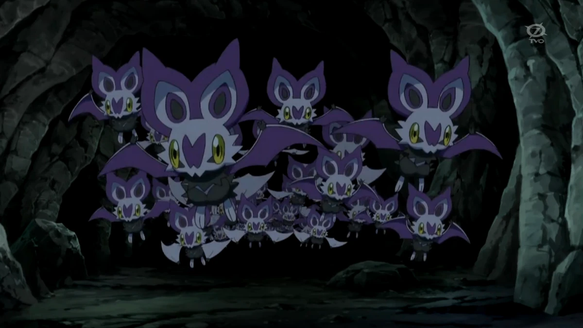 Noibat (XY033) | Pokémon Wiki | Fandom