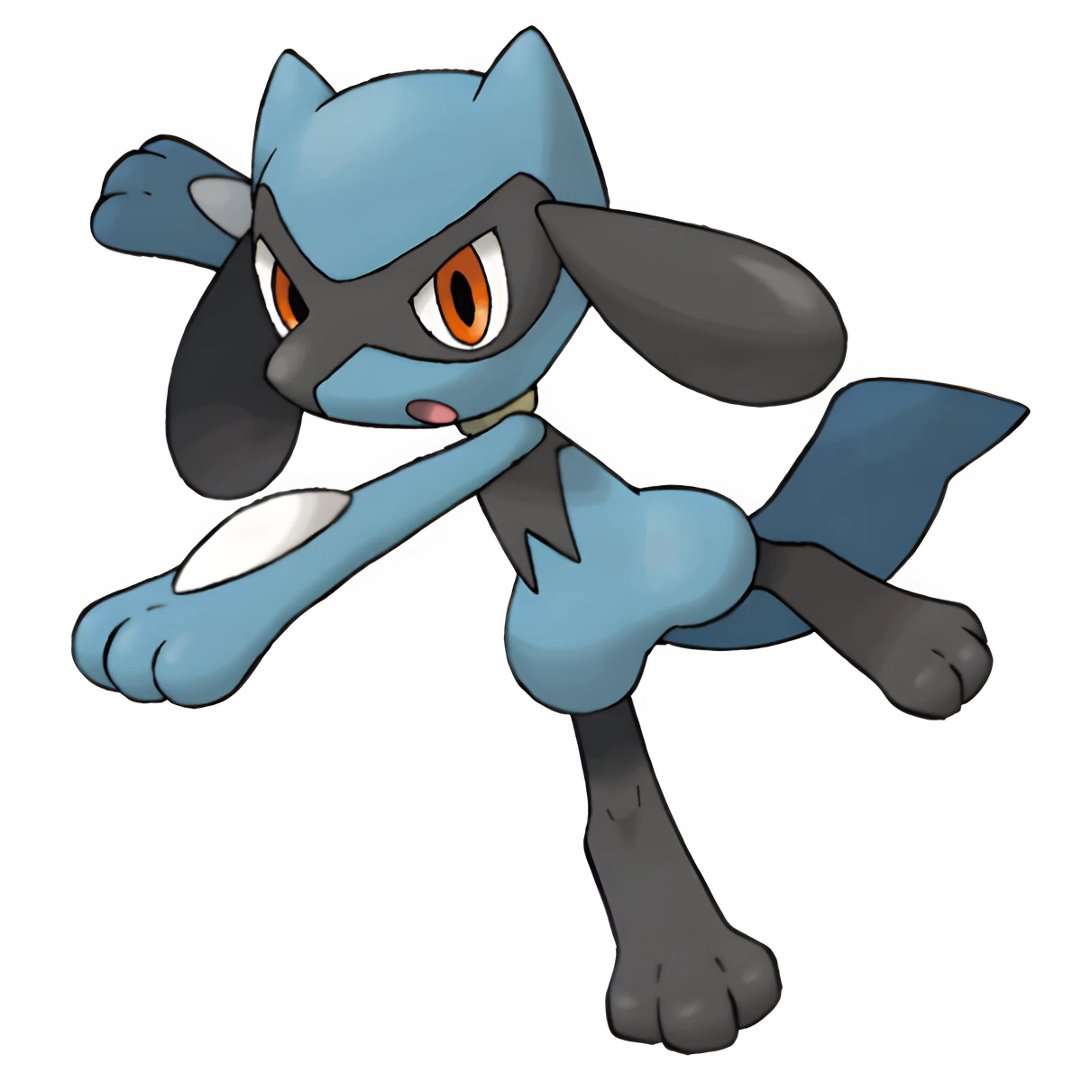 Riolu | Pokémon Wiki | Fandom