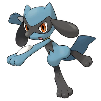 Riolu | Pokémon Wiki | Fandom