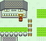 Pewter City | Pokémon Wiki | Fandom