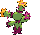 Maractus | Pokémon Wiki | Fandom
