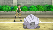 Shelgon | Pokémon Wiki | Fandom
