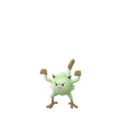 Mankey | Pokémon Wiki | Fandom
