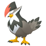 Staraptor | Pokémon Wiki | Fandom