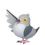 Pidove | Pokémon Wiki | Fandom